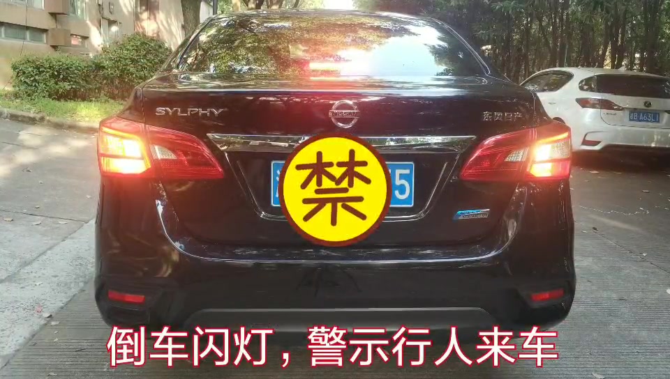 日产轩逸升窗器功能演示视频