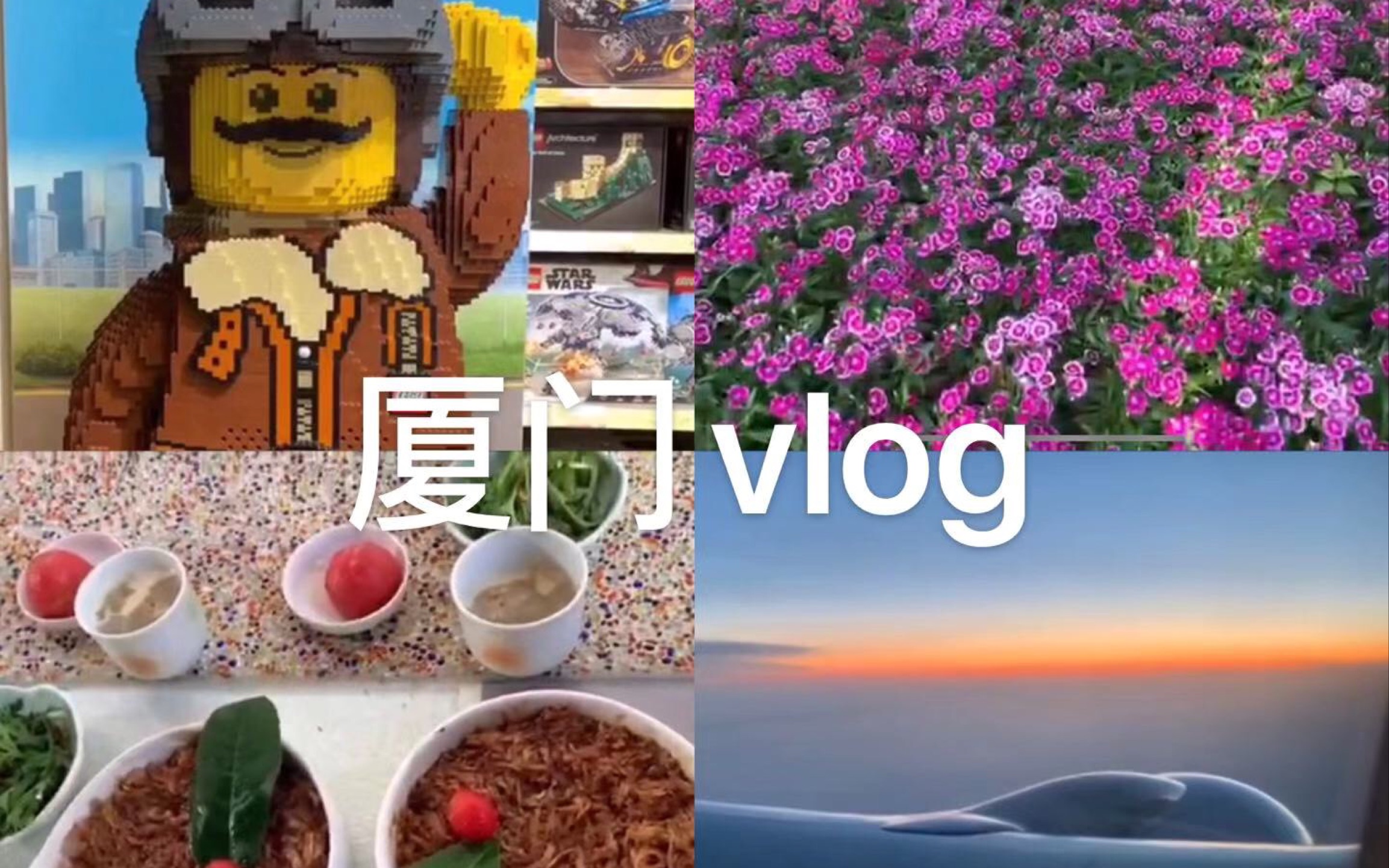 厦门vlog| 一趟抽了四个盲盒的旅行