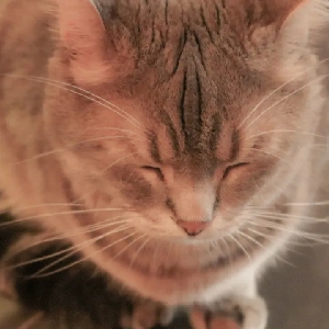 海上卧听雨打舷R 