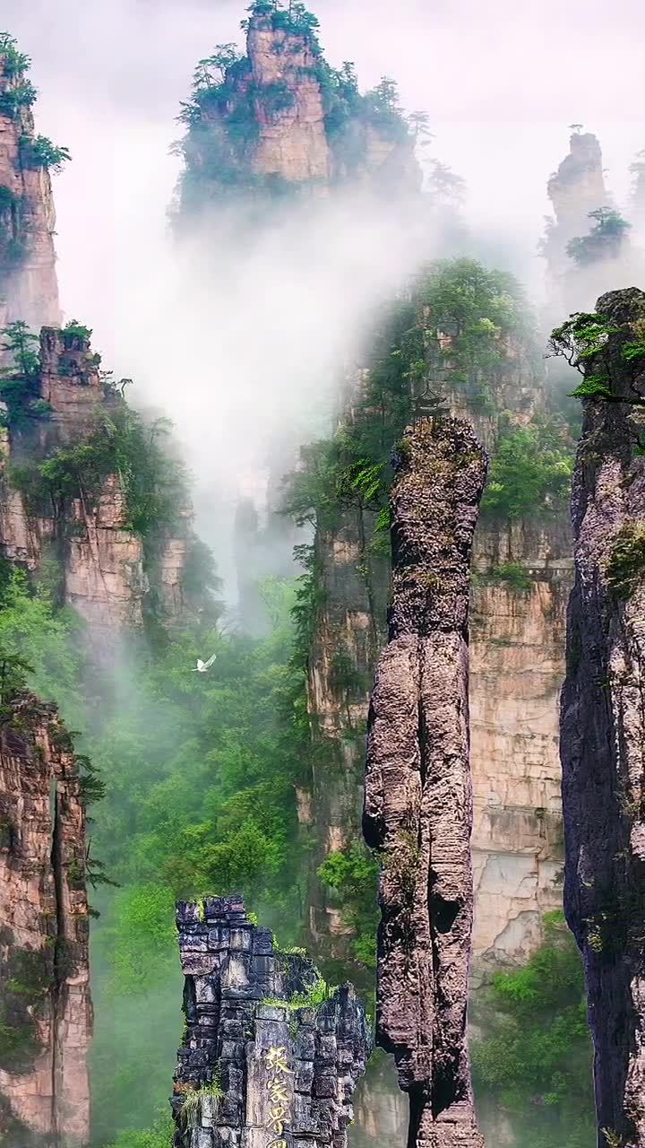 张家界国家森林公园,以峰称奇,以谷显幽,以林见秀