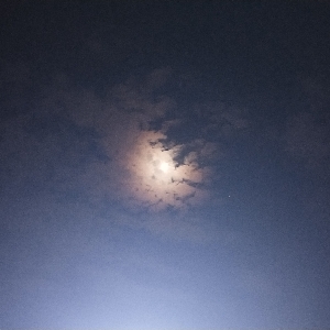 莫须有的JO级生物 