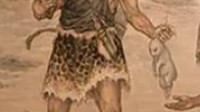 夏商与西周东周分两段