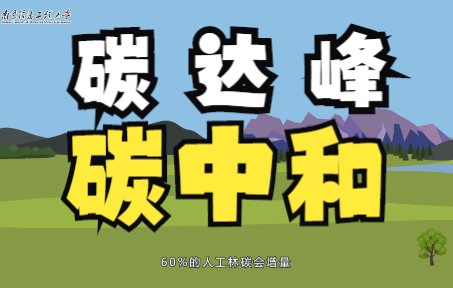 【专业组二等奖】碳达峰碳中和”这些理解误区,你都清楚吗?