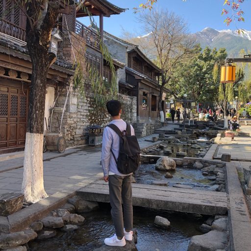 碗里的鱼頭 