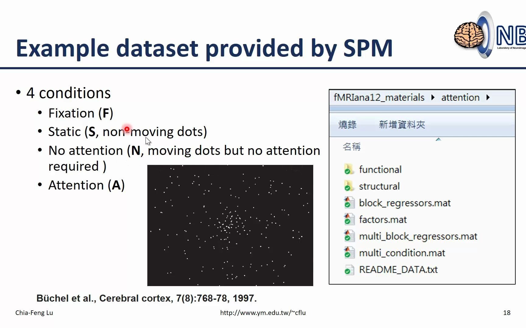 【youtube搬运】手把手教你用SPM实现fMRI数据动态因果建模(...