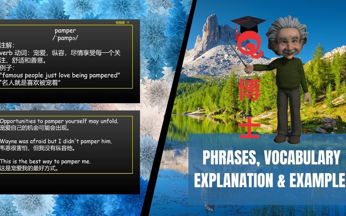 天天Q博士 单词,词汇解释与造句例子 SH11