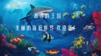 人教版_七年级上册_第二单元 制作演示文稿_第八课 完善演示文稿_...