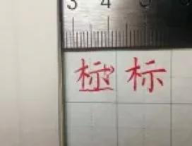 硬笔书法入门,标字的楷书练习