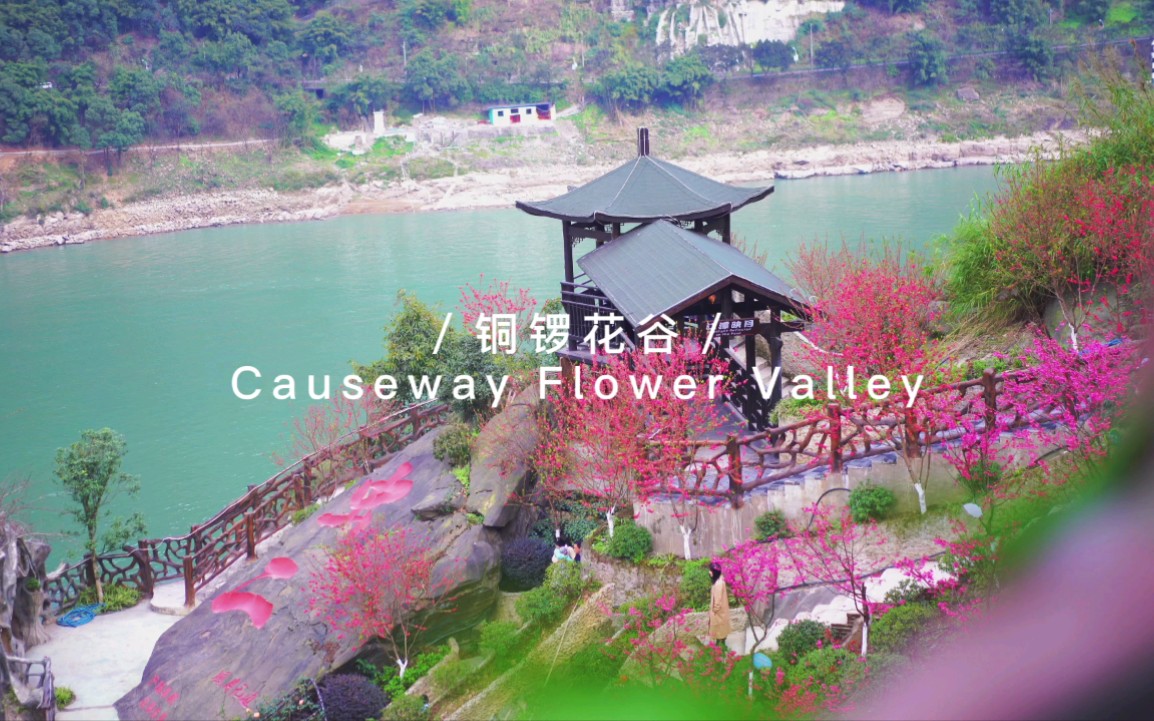 用手机剪映编辑4k视频,用相机拍(A7m3)手机剪,以后可以不用背电脑...