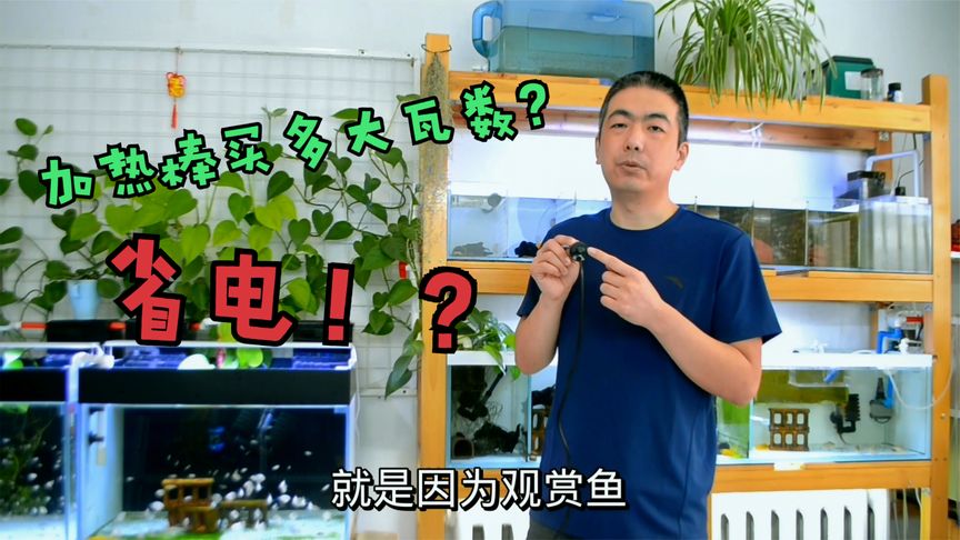 关于加热棒的个人使用技巧,鱼缸中最费电的一个设备,如何操作?