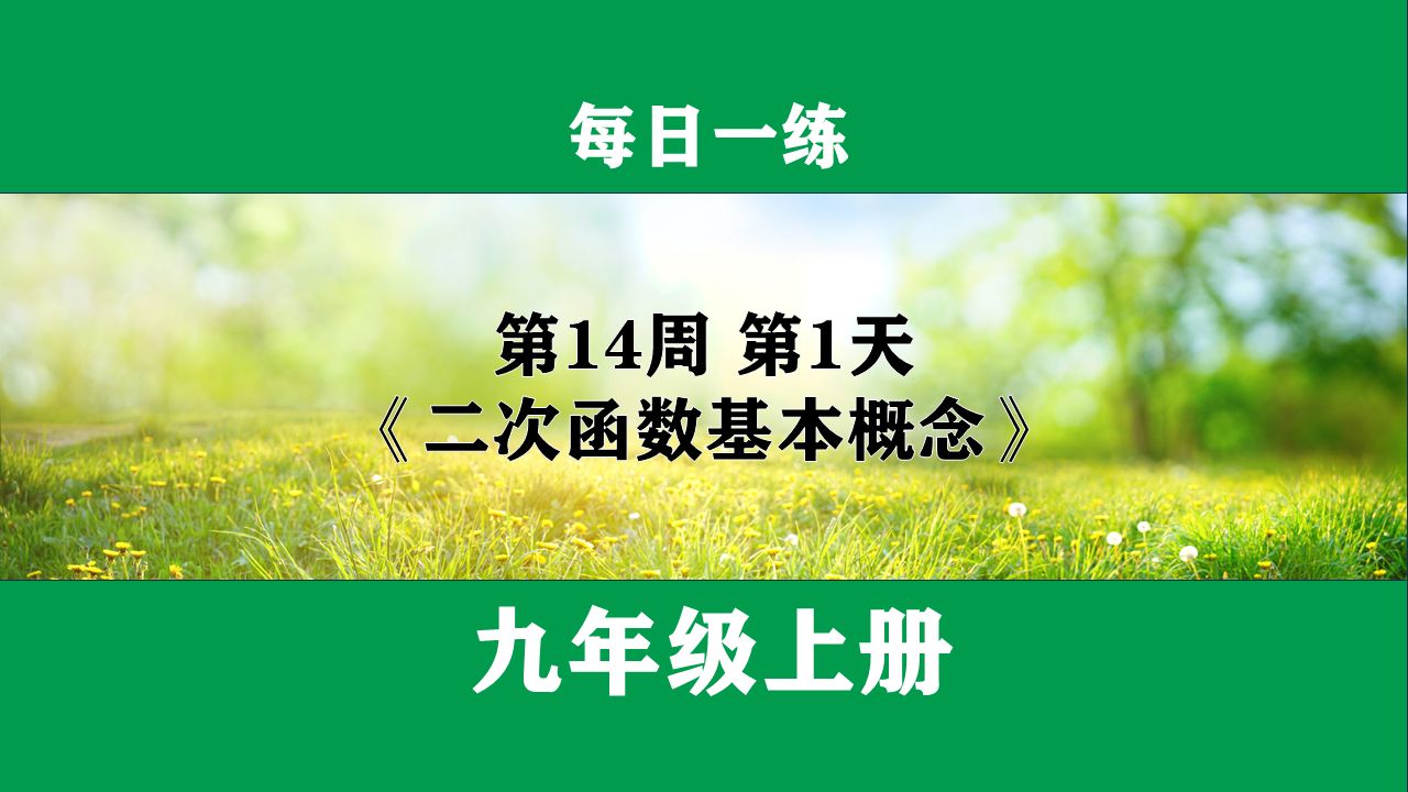九年级每日一练(14-1)【二次函数基本概念】