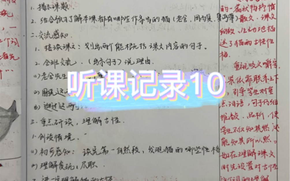 语文听课记录10