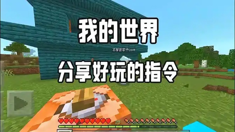 我的世界:分享好玩的指令