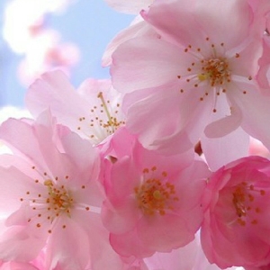 快乐学家哈哈哈 