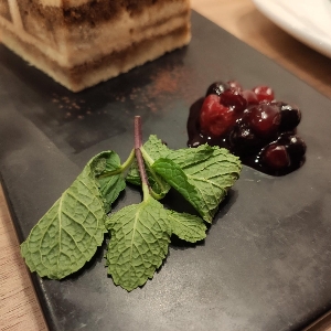 小鱼如是说 