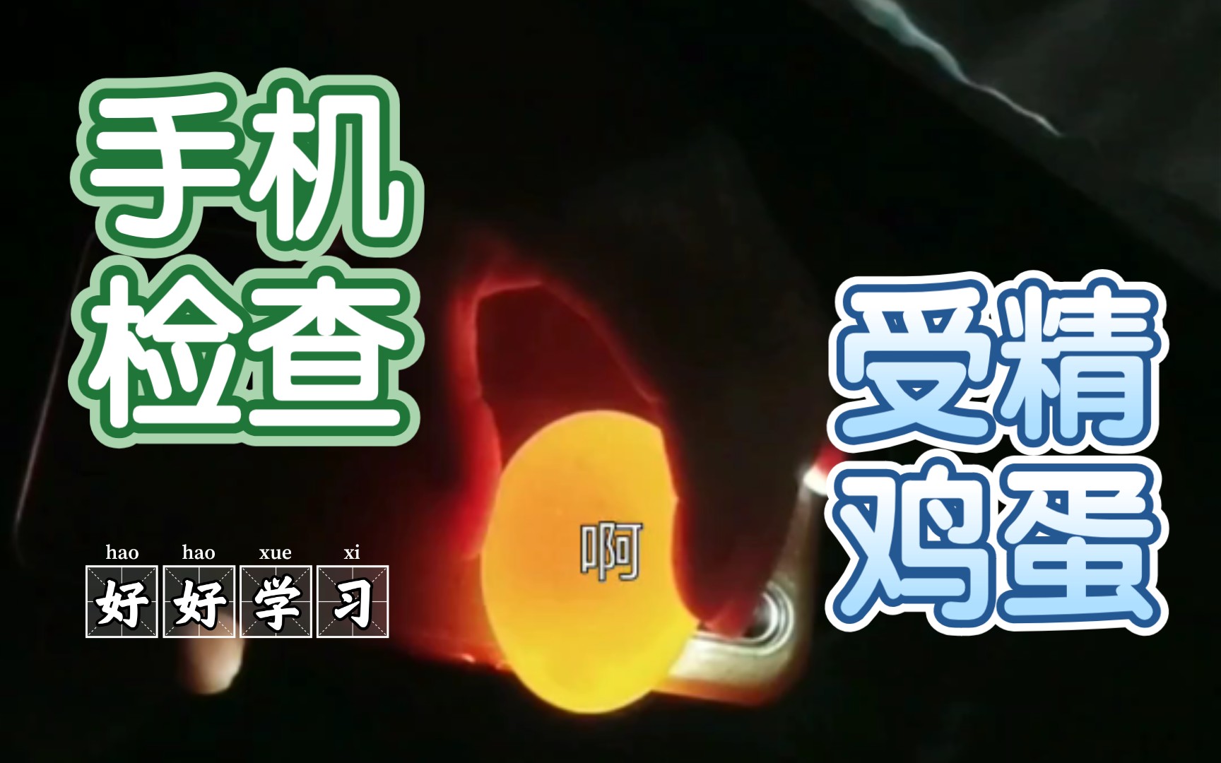 农村土方法,用手机电筒一眼就能看出来是不是受精蛋,孵化前检查一下...