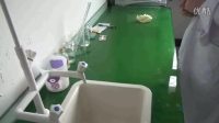 测定溶液的酸碱度