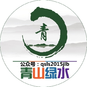 青山绿水公益 