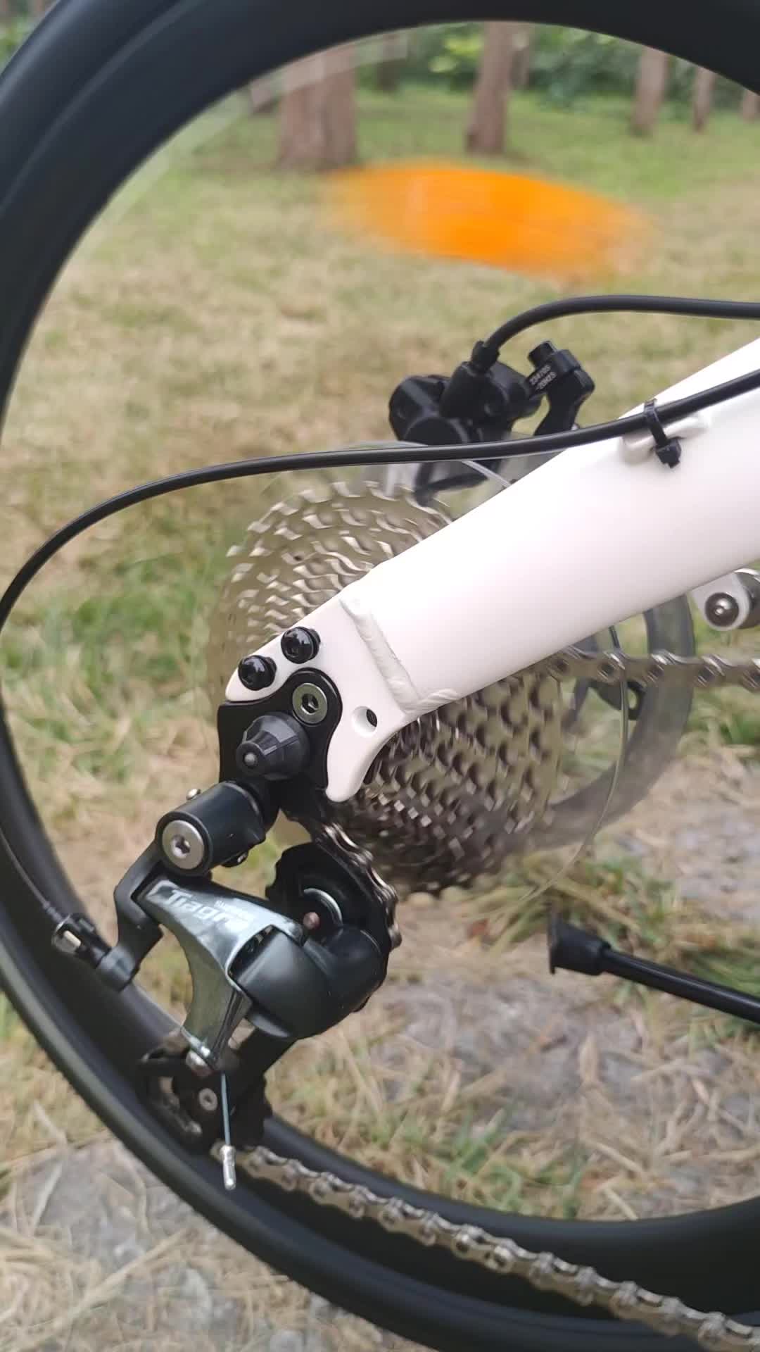 坎普p10折叠车3000以下折叠车性价比的天花板坎普p10, 2000到3000...