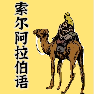 索尔阿拉伯语SOL_ARABIC 