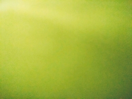 eeeeeeeerasaaa 