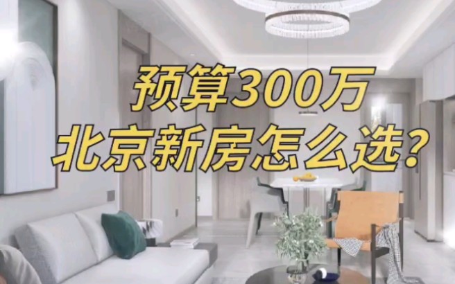 2022北京预算300万必看新房