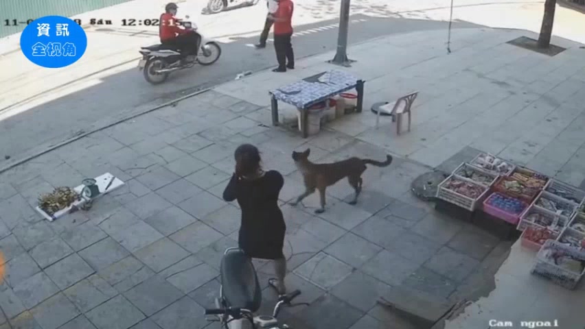 劫匪见男子站路边玩手机 上前抢夺遭小狗秒吓跑