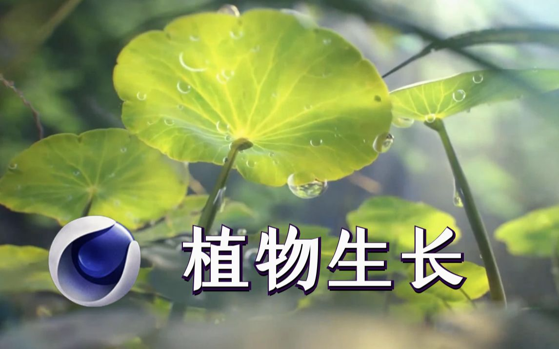 【C4D教程】这个C4D植物生长教程也太帅了!快学起来