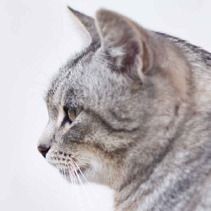 这需求太简单了 