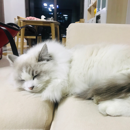 大生的分享笔记 