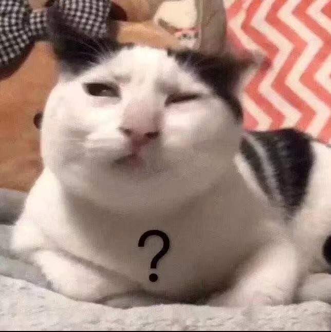 巧克力味蒙太奇 