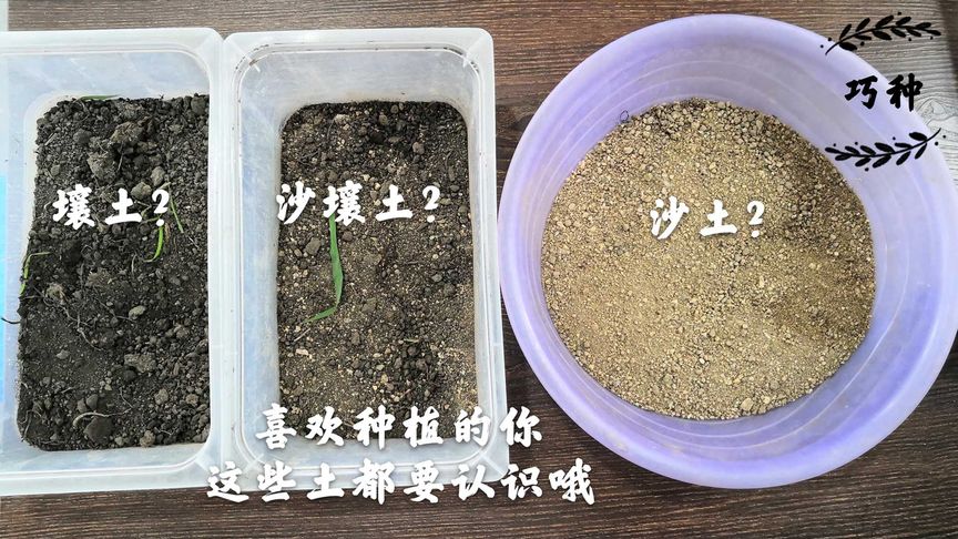 阳台养花种菜 各种土干什么用?怎么用?沙子用处原来也很大