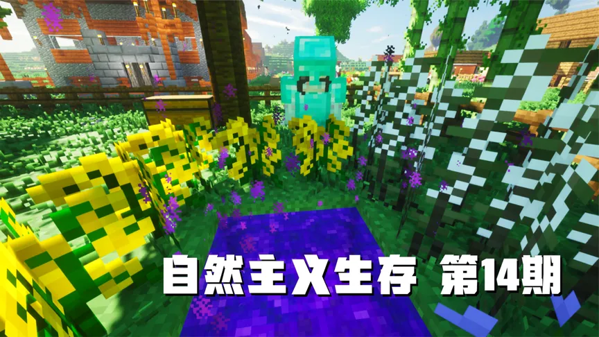 村庄遭遇土匪入侵暗墨多米拼死抵抗 我的世界自然主义 第14期