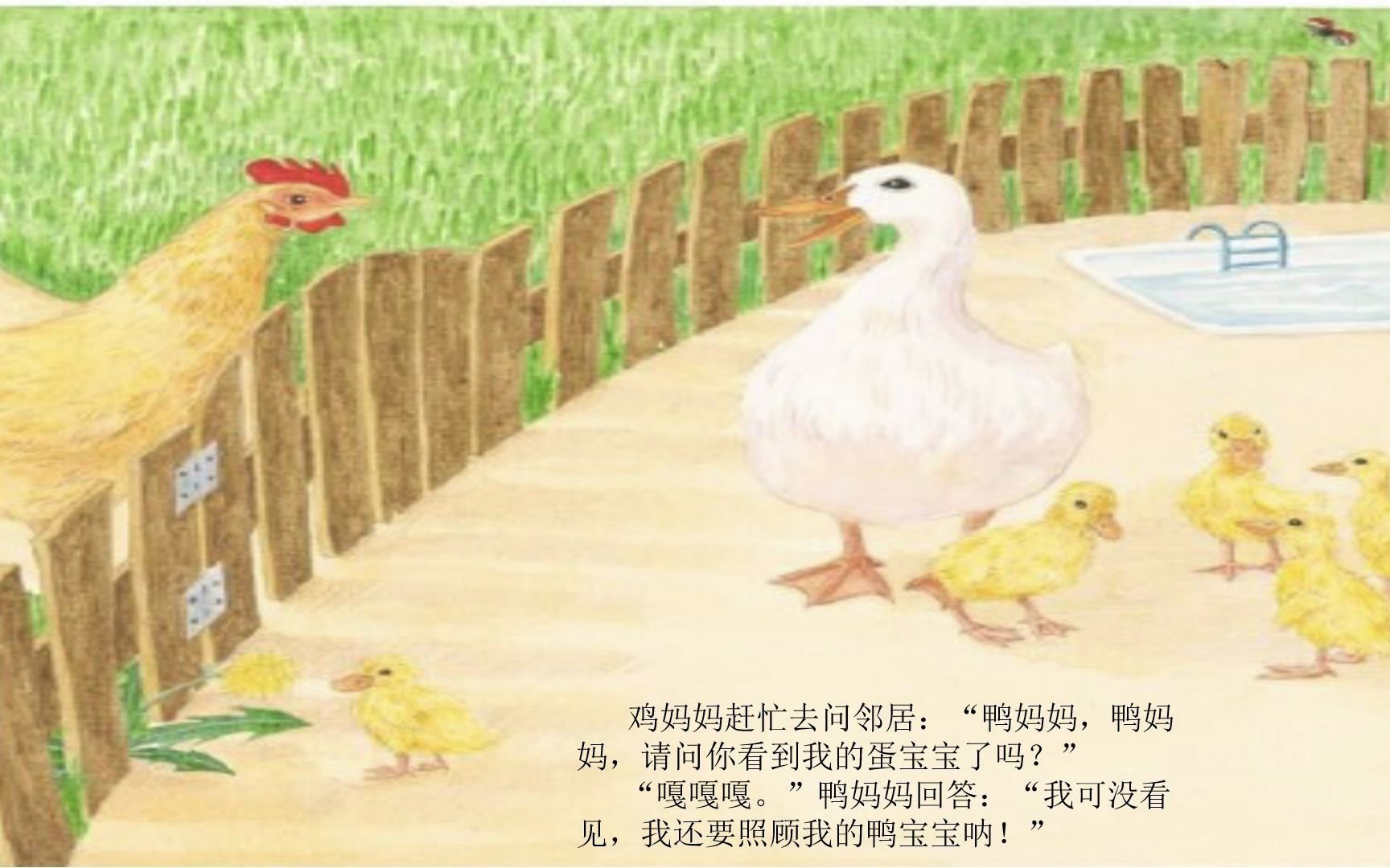 微课堂 小班语言《鸡妈妈的蛋宝宝》基础教育教学信息交流大赛