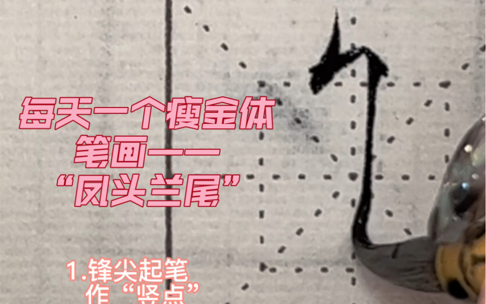 每天一个瘦金体笔画——“凤头兰尾”