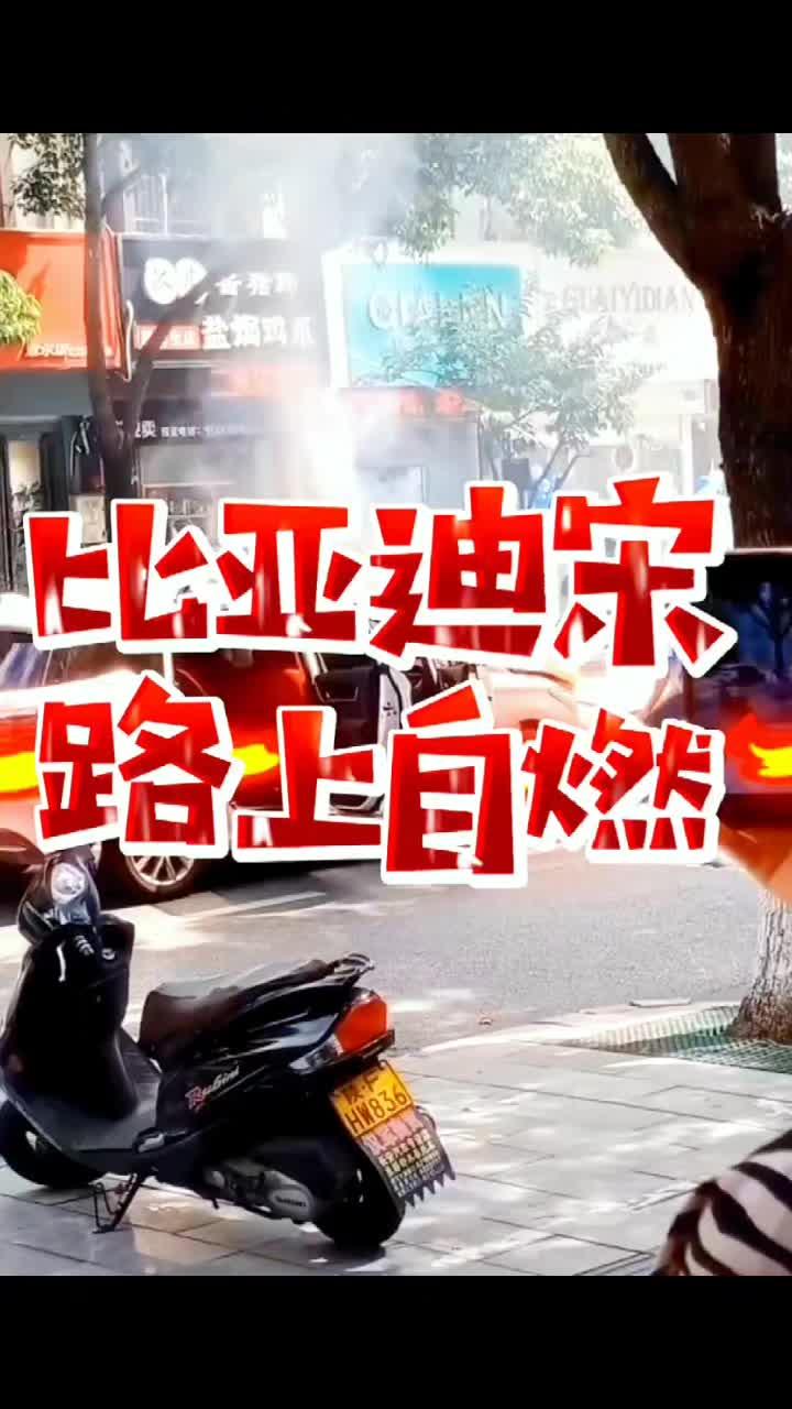 #安全出行 #路人视角 7月21日汉中,不是说刀片电池不会自燃吗。