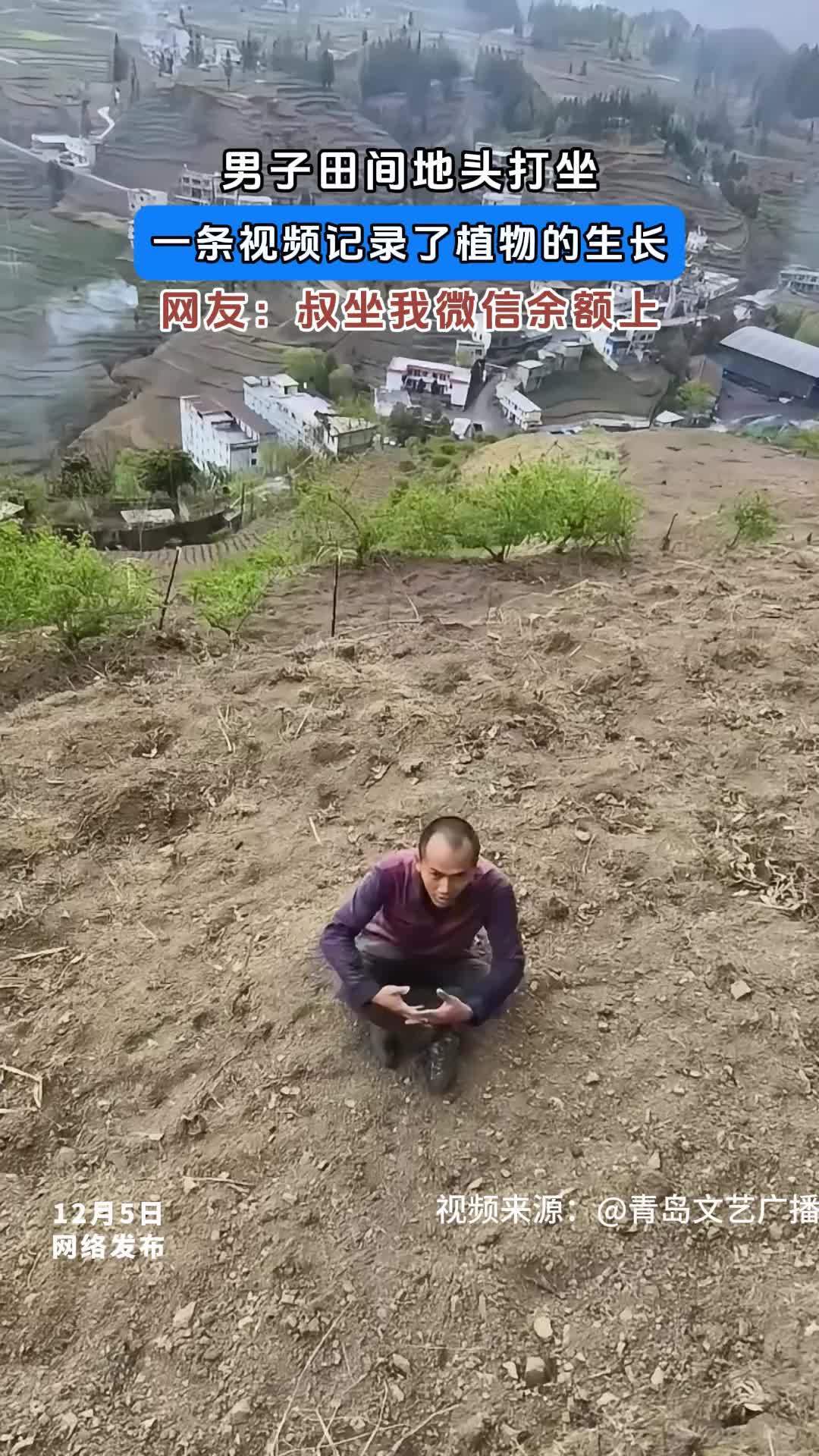 男子田间地头打坐,一条视频记录了植物的生长