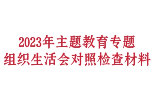 2023年主题教育专题组织生活会对照检查材料