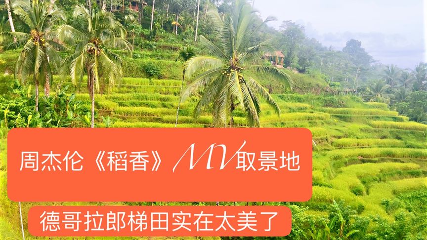 巴厘岛德格拉郎梯田周杰伦《稻香》MV取景地,乌布梯田的绿太美了
