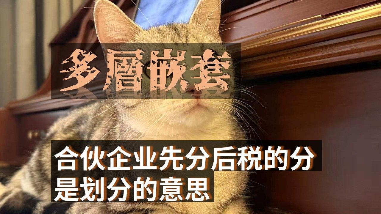 合伙企业先分后税的分是划分的意思