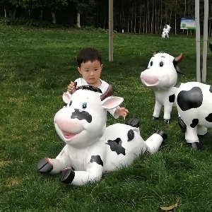 为什么横着开车 