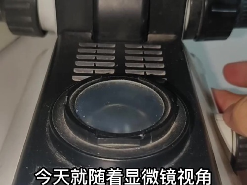 探索显微镜下的奥秘,让我们揭开微观世界的神秘面纱!