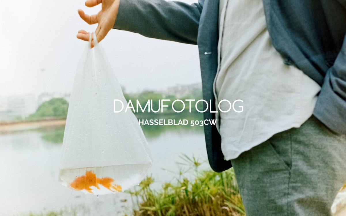 【胶片日记】回家真好|聂耳的音乐广场|哈苏503cw