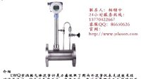 江苏力盛气体流量计介绍