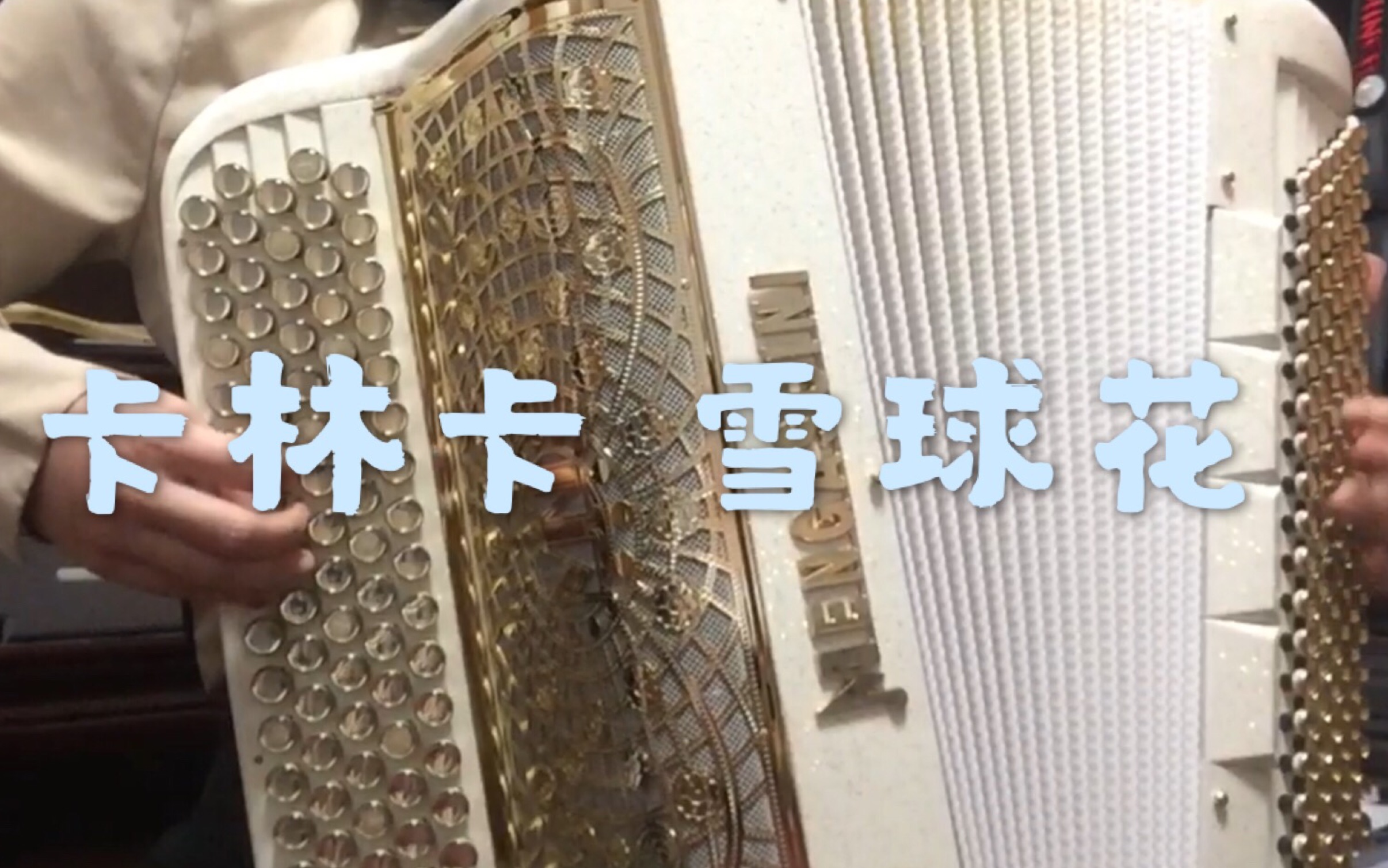 【手风琴】雪球花/卡林卡 Калинка Kalinka 苏联歌曲风格第19弹