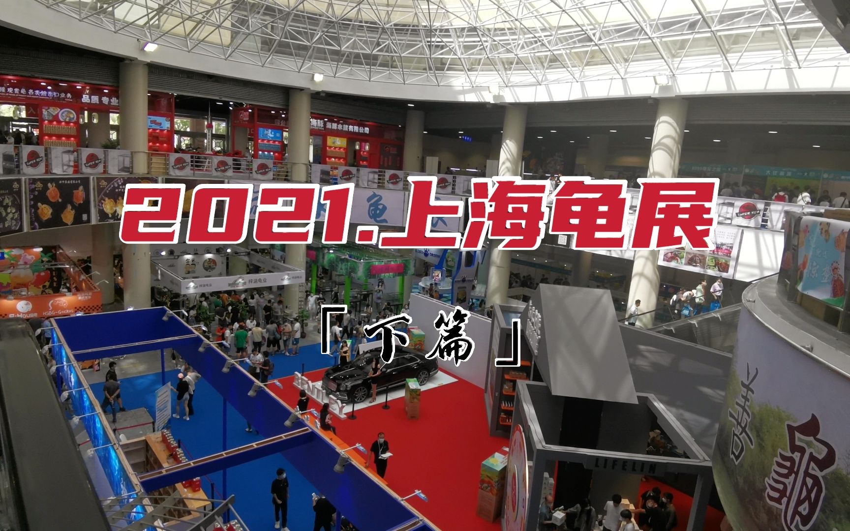 【2021上海龟展•下篇】带你看龟展上那些可爱的小宠们!还有很多你...