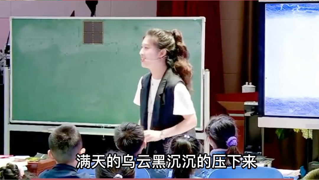 《雷雨》二年级语文下册名师优质公开课优质课一等奖教学实录教学...