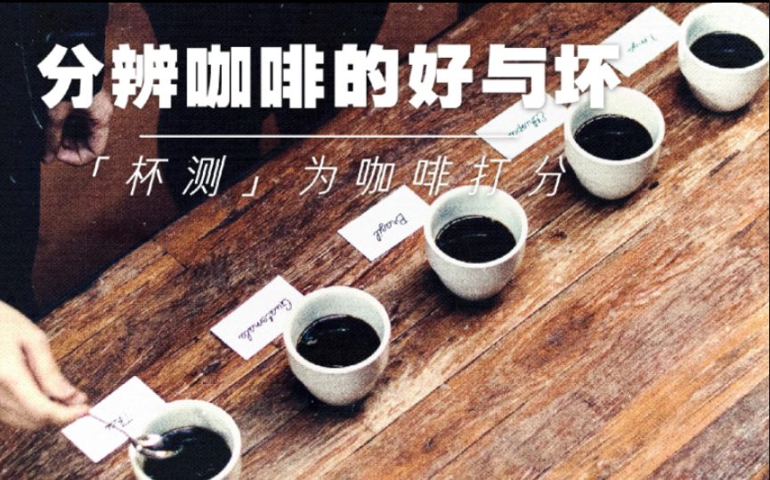 Amis日常咖啡学|分辨咖啡的好与坏|「杯测」为咖啡打分