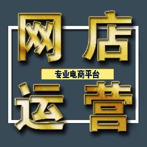 风雨电商人 
