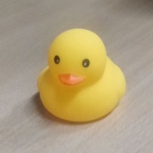 花样多的心宁 